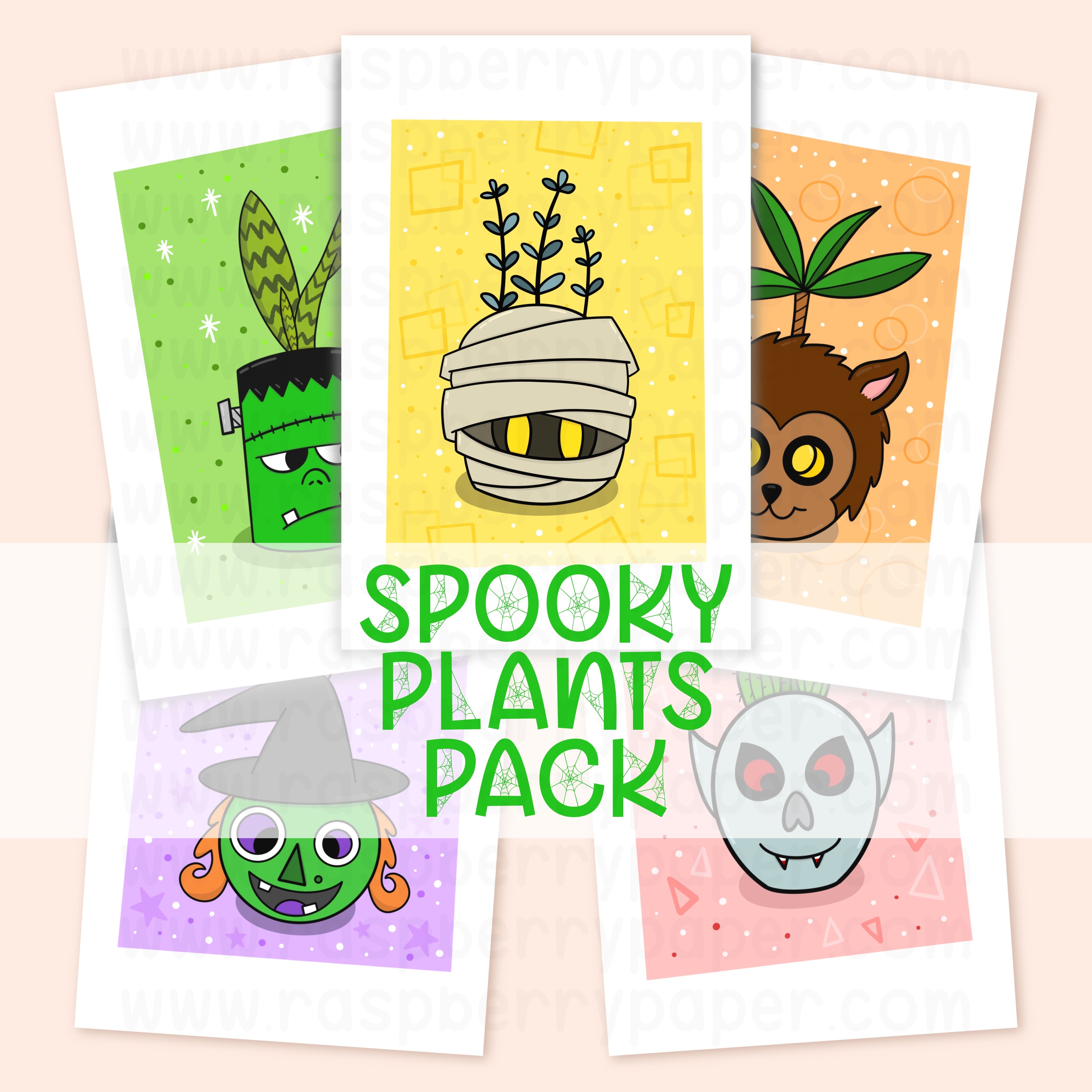 Packs – Raspberry Paper